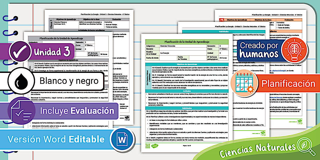 Planificación | Unidad 3 | Ciencias Naturales | 6° Básico