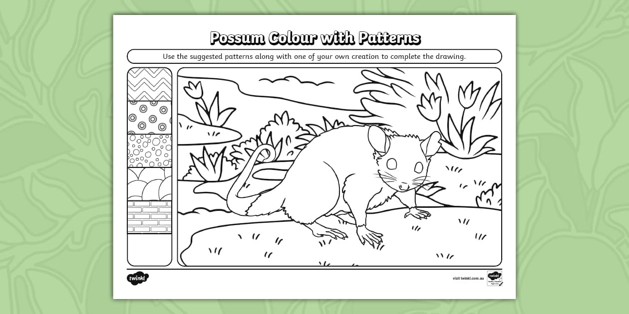 Possum Colour with Patterns Activity (teacher made) - Twinkl