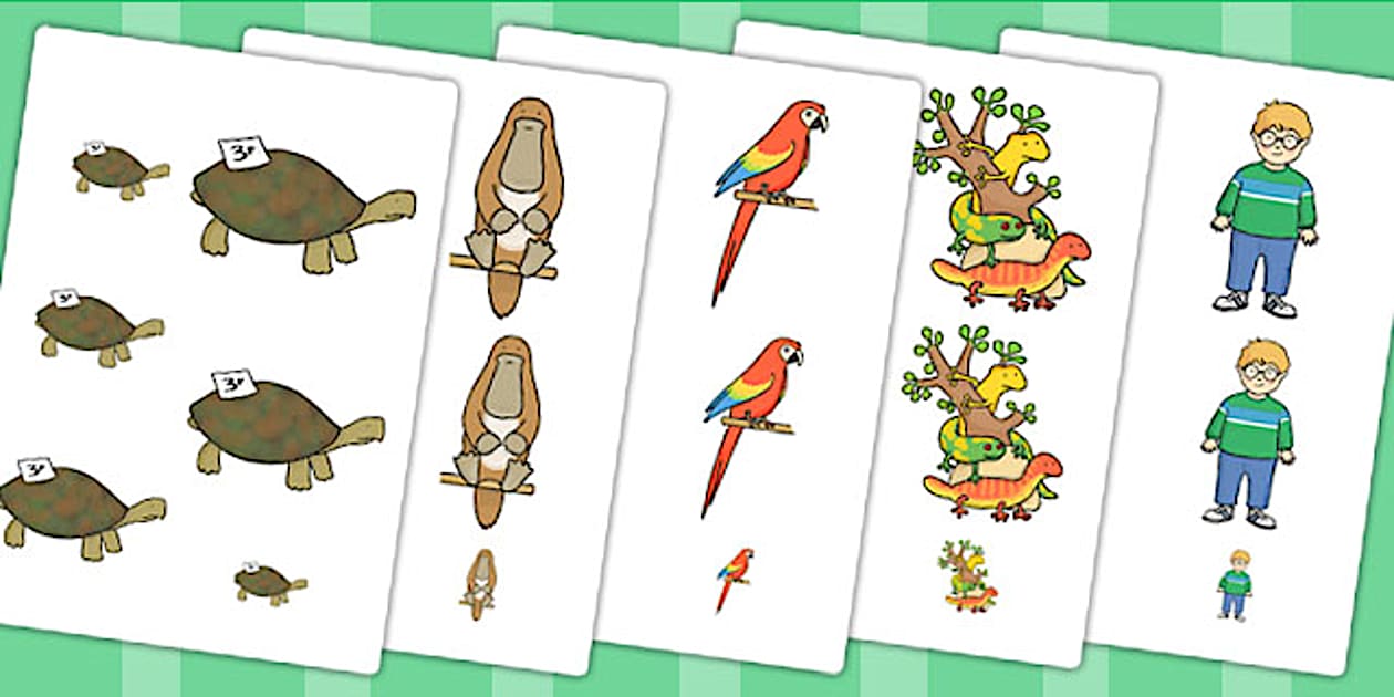 Size Ordering to Support Teaching on The Great Pet Sale