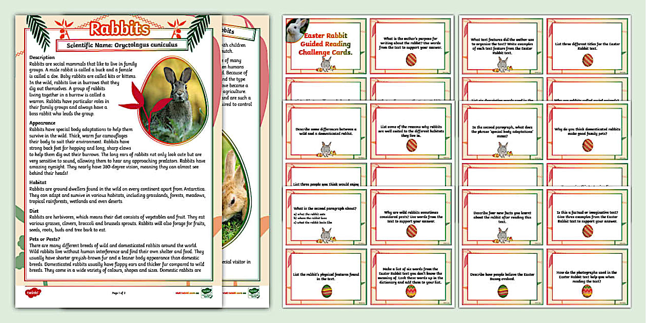 Rabbit Guided Reading Challenge Cards (teacher made)