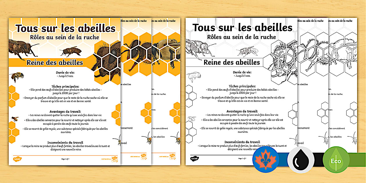 All About Bees: Roles Within a Hive French (teacher made)