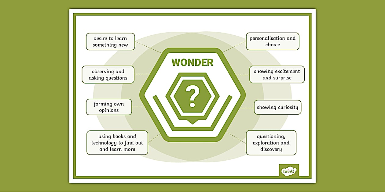 Wonder Meta-Skill Display Poster (teacher made) - Twinkl