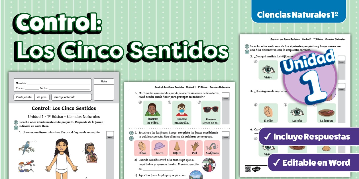 Control | Los Cinco Sentidos | Ciencias Naturales | 1°