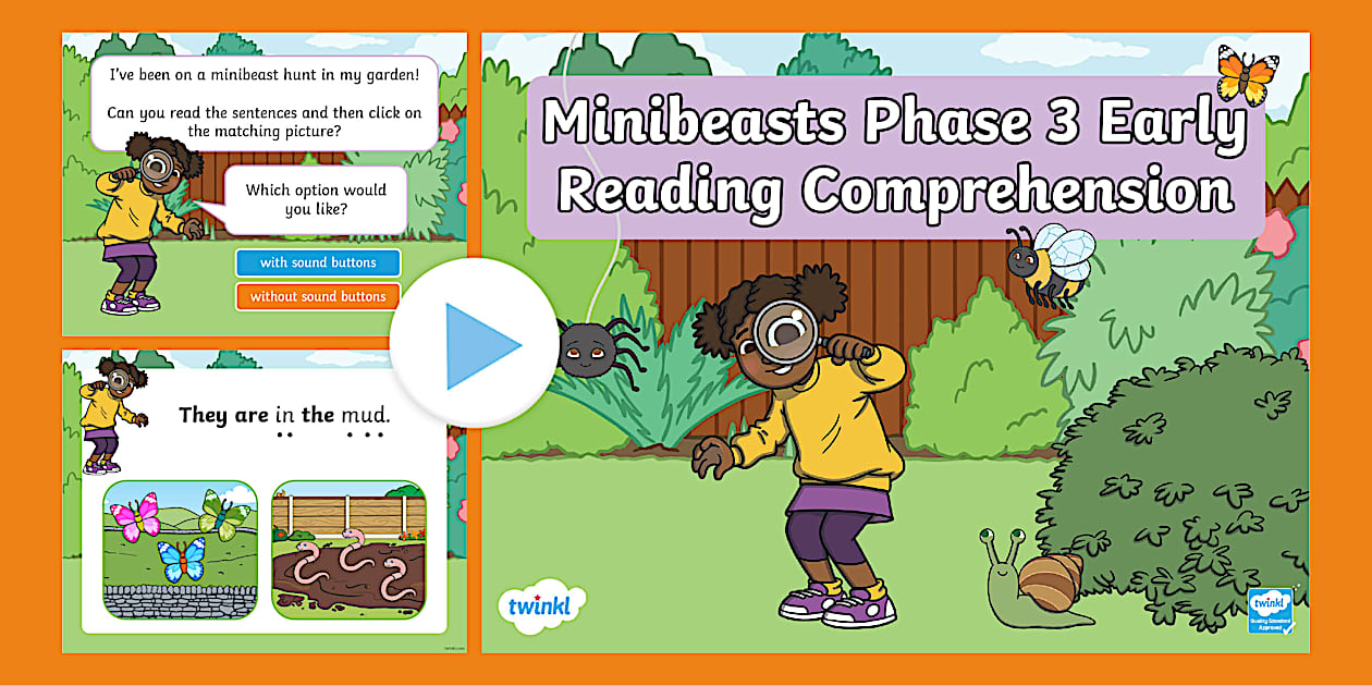 Minibeasts Phase 3 Early Reading Comprehension PowerPoint