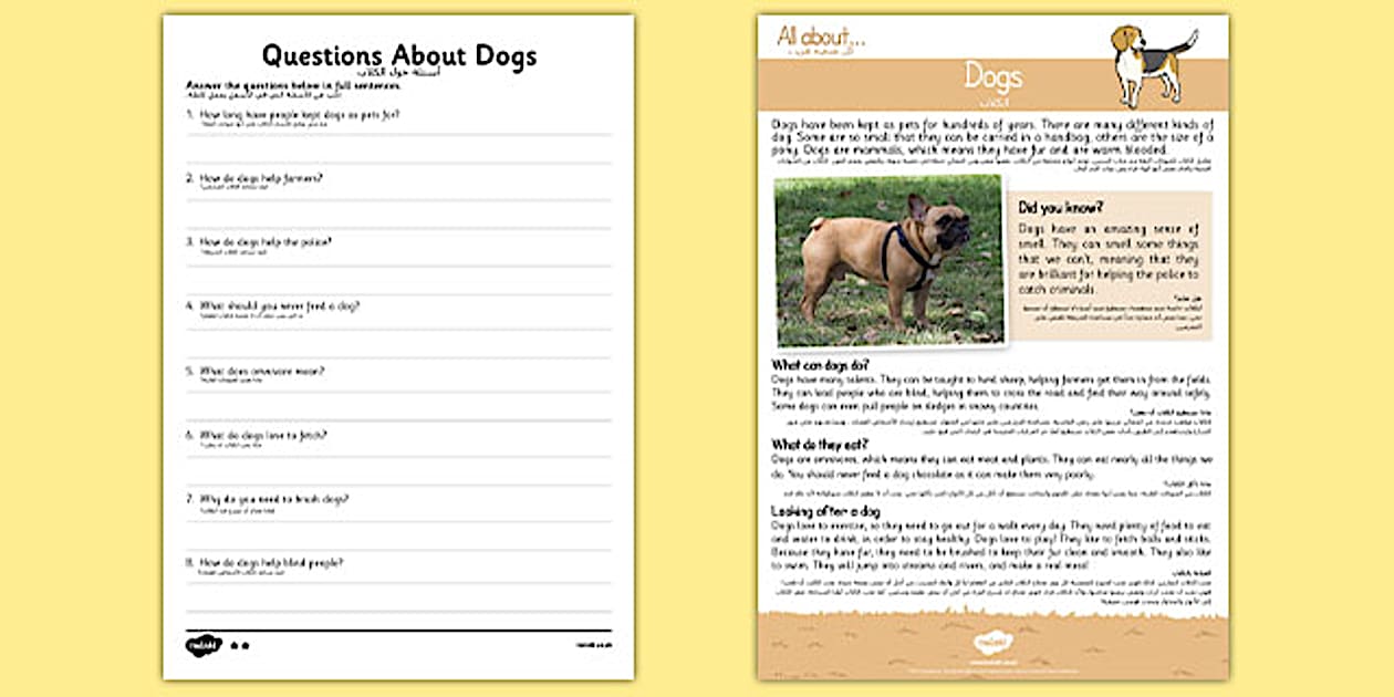Dogs Reading Comprehension Arabic Translation - Twinkl