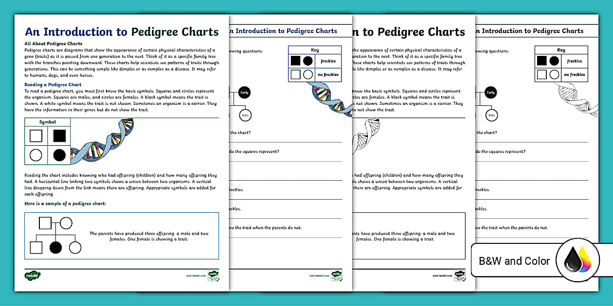 Pedigree Charts Worksheet | Sixth Grade Science | Twinkl USA