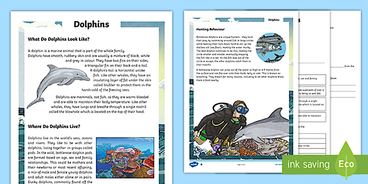 Editable Dolphins Differentiated Reading Comprehension Activity For ...