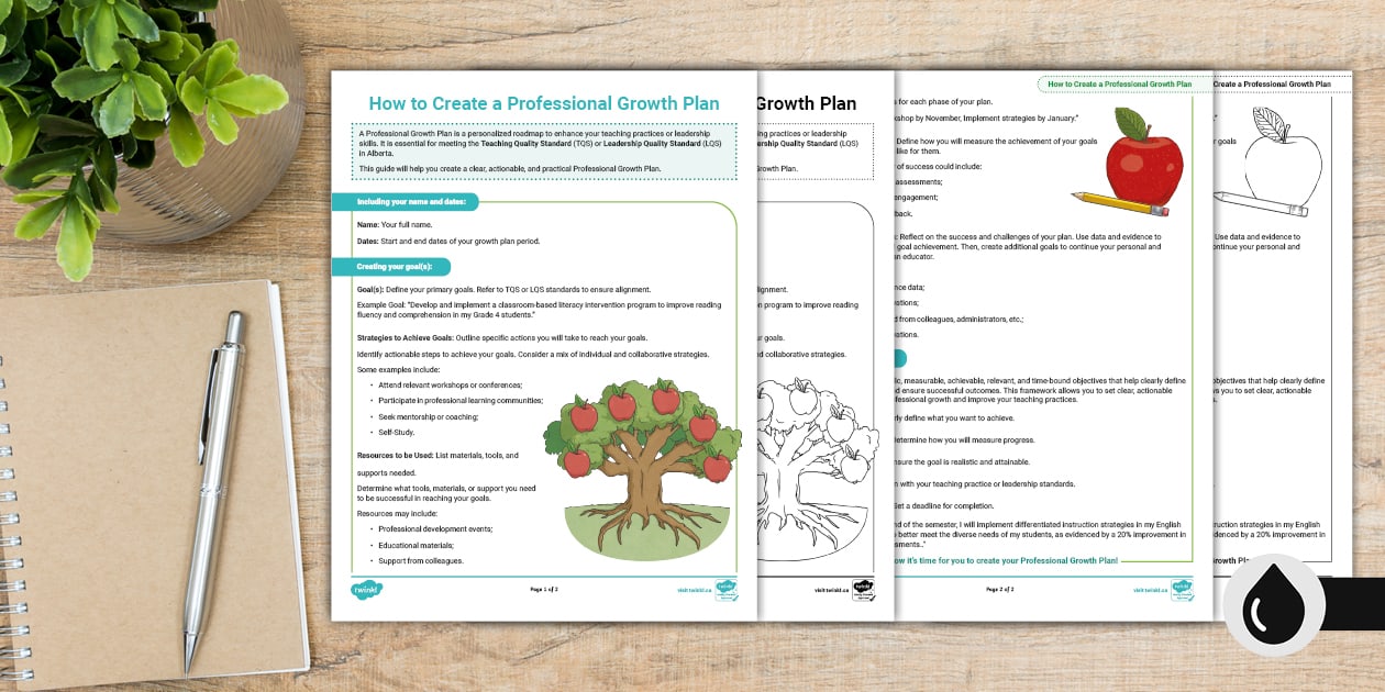 Professional Growth Plan Information Guide (teacher made)
