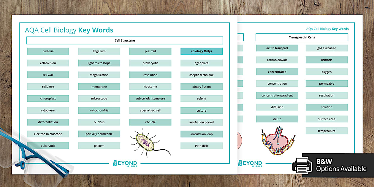 AQA Biology 1 Cell Biology Word Mat | GCSE Science | Beyond