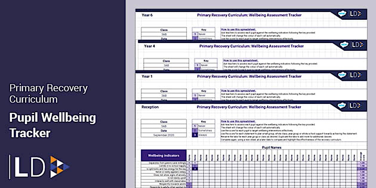 Primary Recovery Curriculum: Pupil Wellbeing Assessment