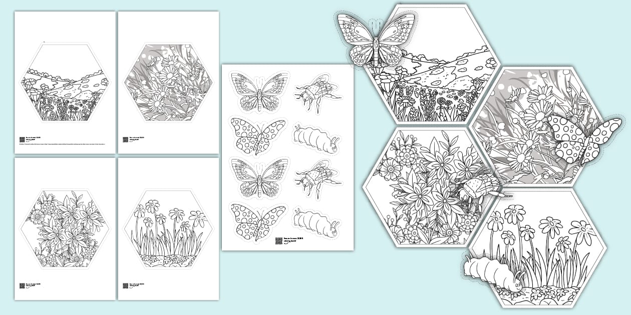Flower Hexagon Display Colouring Activity (Teacher-Made)