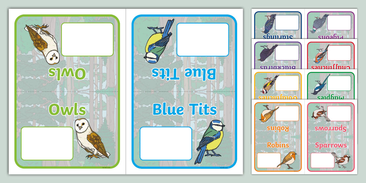 British Birds Table Signs (teacher made) - Twinkl