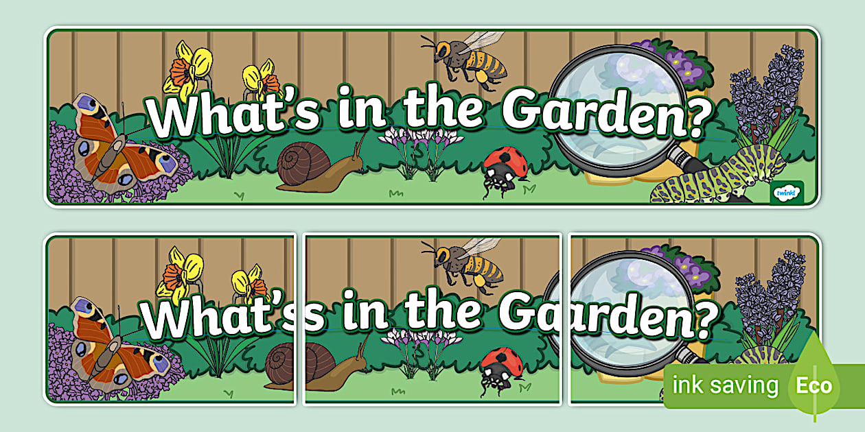 What's in the Garden? Display Banner (teacher made) - Twinkl