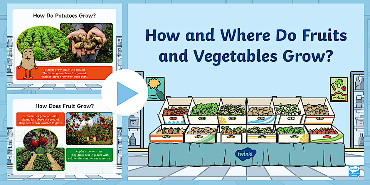 Carrot Club: How and Where Do Fruits and Vegetables Grow? PowerPoint