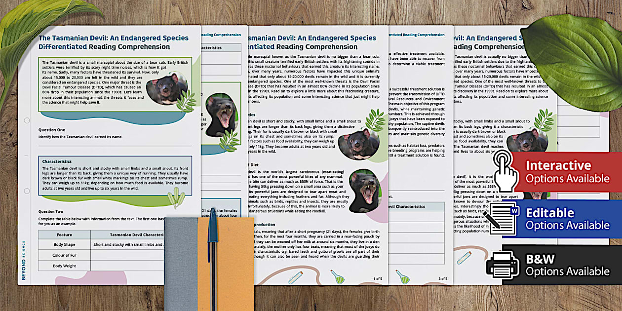 The Tasmanian Devil: Differentiated Reading Comprehension