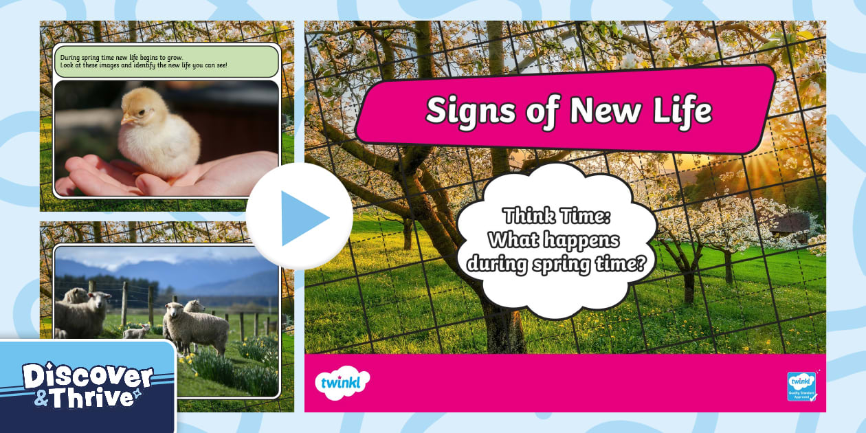 STEM (Living Things) Spring Sign of New Life (1st Class)