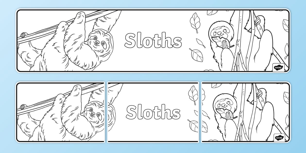 Sloth Colouring Display Banner (teacher made) - Twinkl