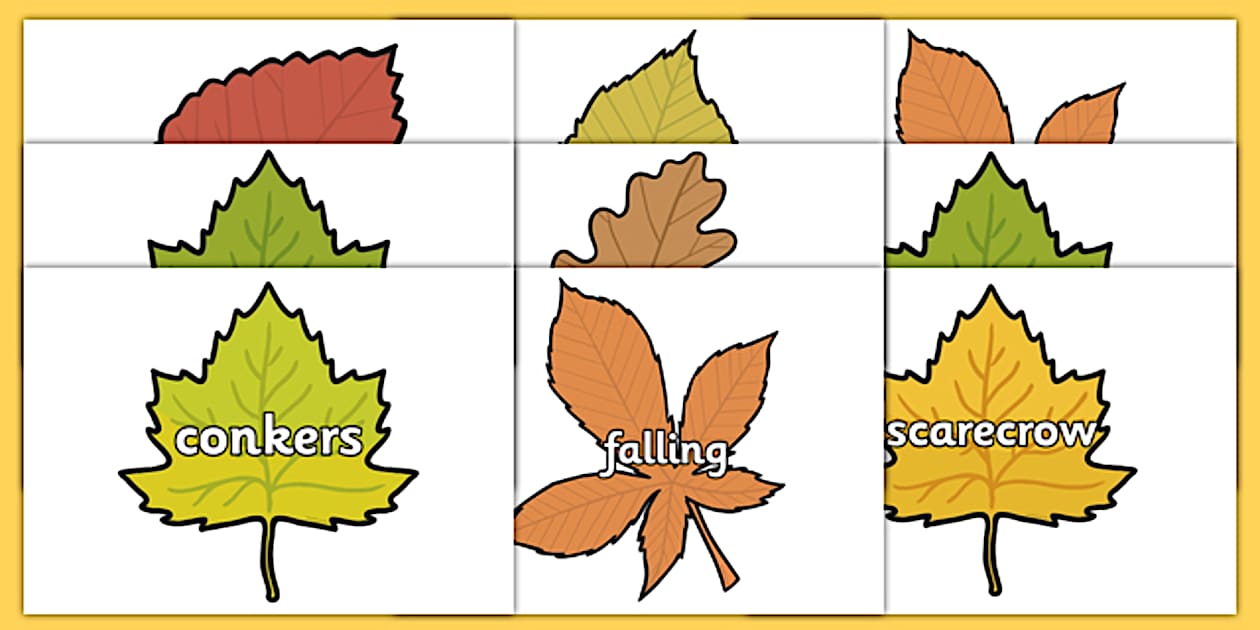 Cursive Autumn Topic Words on Leaves (teacher made) - Twinkl