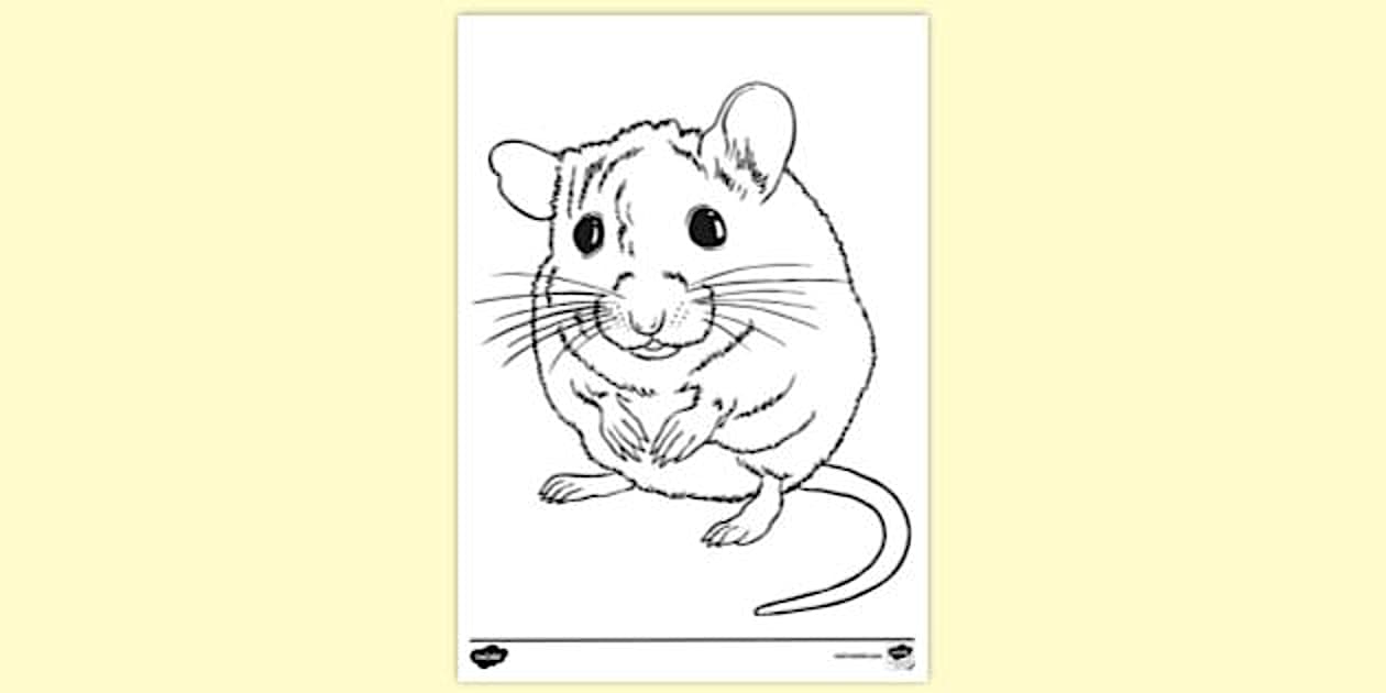 Mouse Colouring Sheet | Colouring Sheets (teacher made)