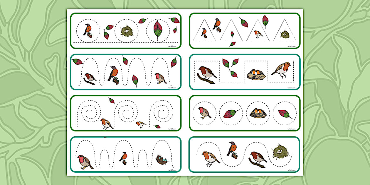 Robin Themed Pencil Control Flashcards Twinkl