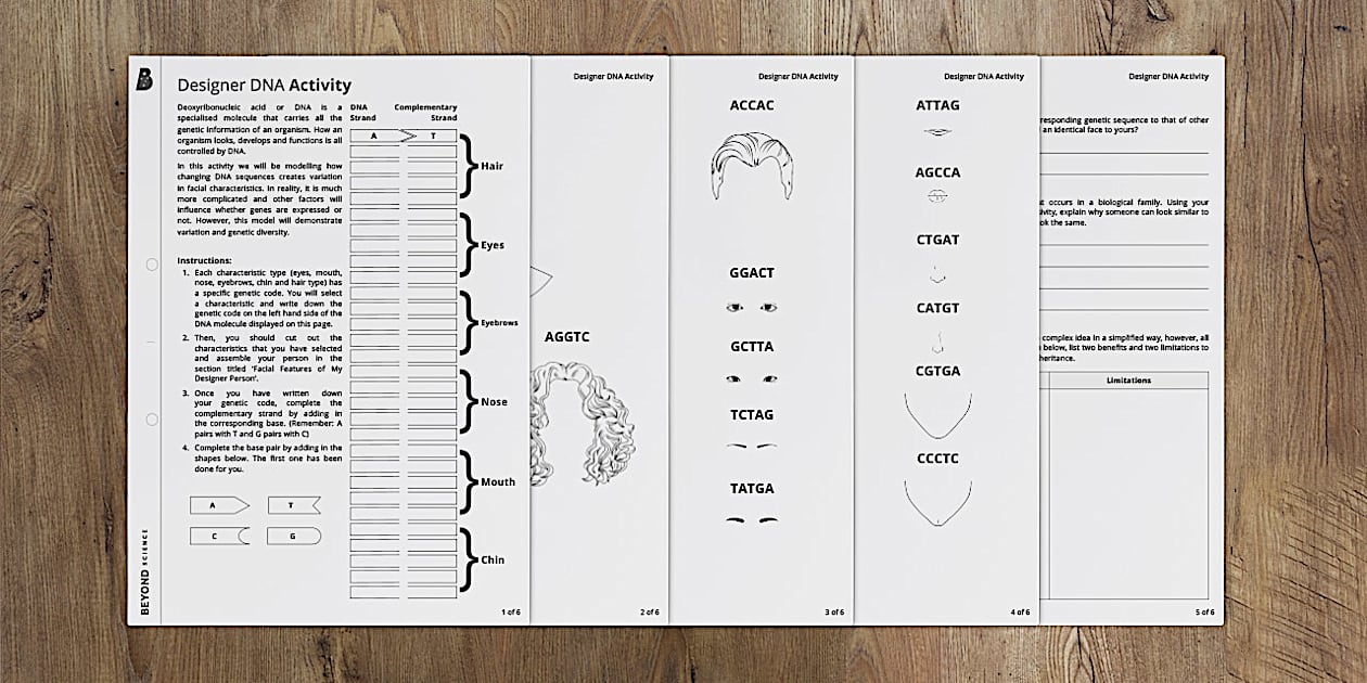 Designer DNA Activity (teacher made) - Twinkl