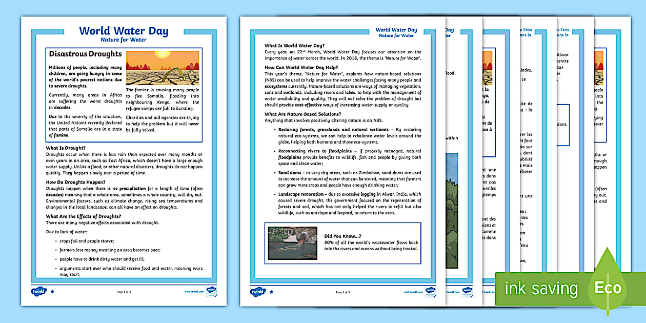 Black and White World Water Day: Nature for Water Differentiated Fact File