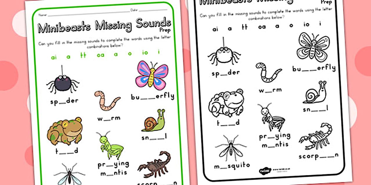 Minibeasts Cute Missing Sounds Worksheet (teacher made)