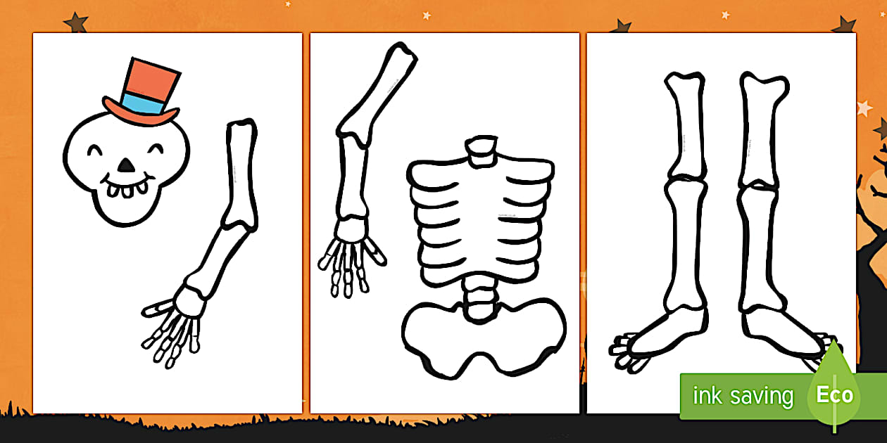 Build a Skeleton Activity (teacher made) - Twinkl