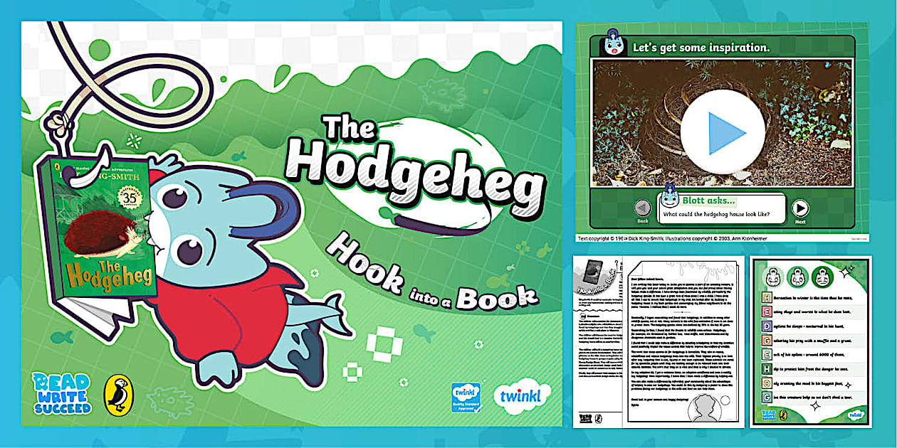 FREE! - Read, Write, Succeed: The Hodgeheg Hook Into a Book Pack