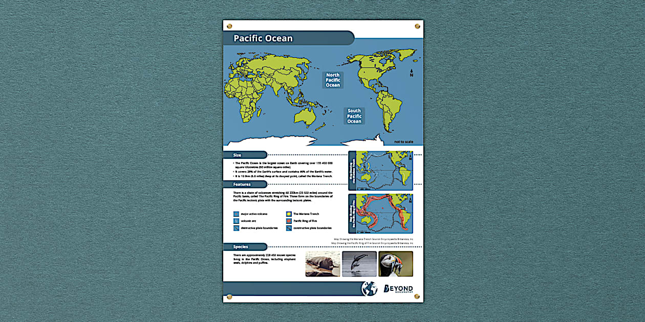 Marine Biomes - Pacific Ocean Information Poster | Beyond