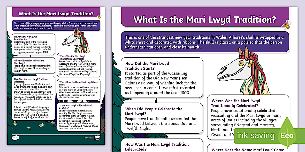 A Fact File to answer the question “What is the Mari Lwyd?”