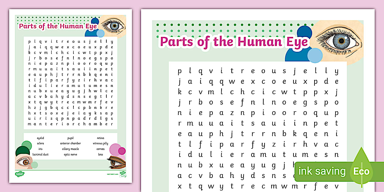 Parts of the Human Eye Word Search - Twinkl - KS2 - Twinkl
