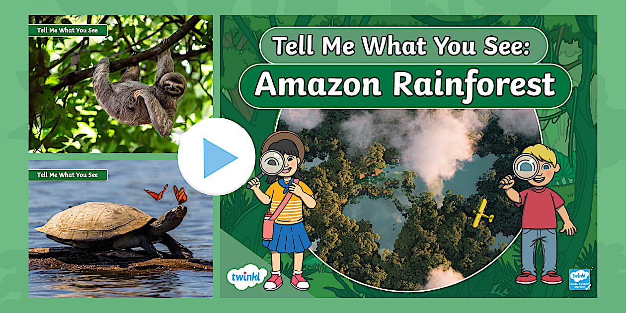 Tell Me What You See: Amazon Rainforest | Twinkl - Twinkl