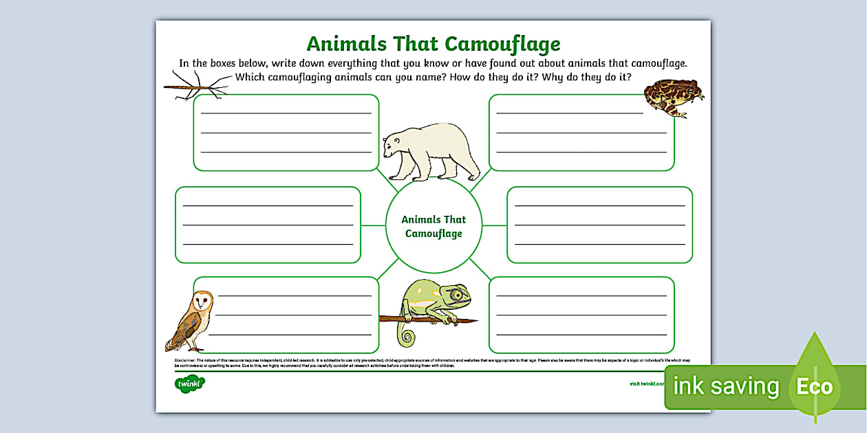 Animals That Camouflage Mind Map (teacher made) - Twinkl