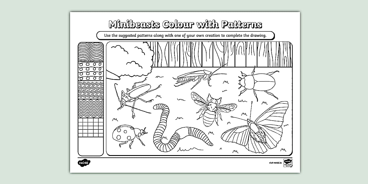 Minibeasts Colour with Patterns Activity (teacher made)