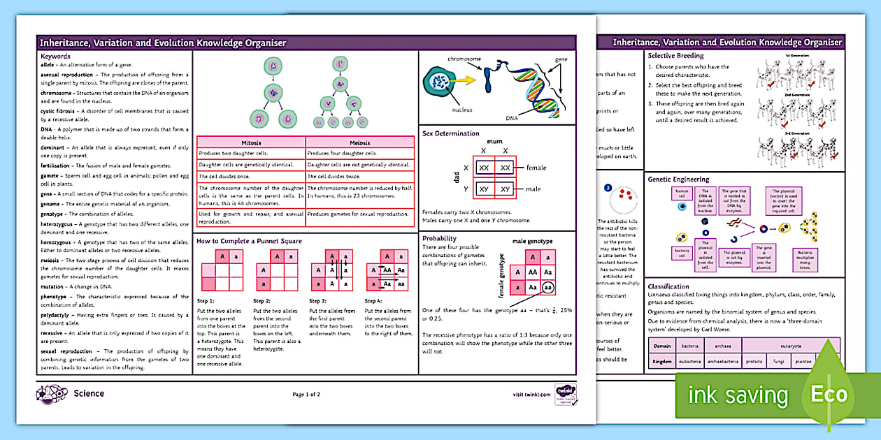 Inheritance Knowledge Organiser | AQA Science | Beyond