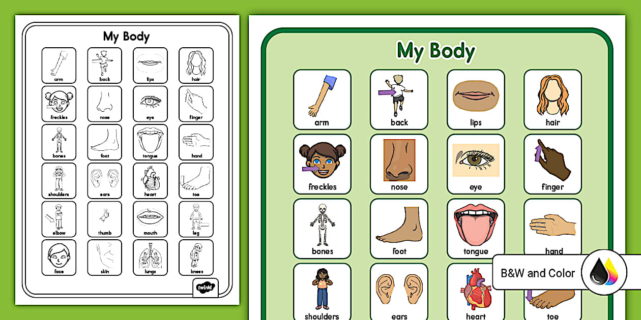 My Body Vocabulary Poster (teacher made) - Twinkl