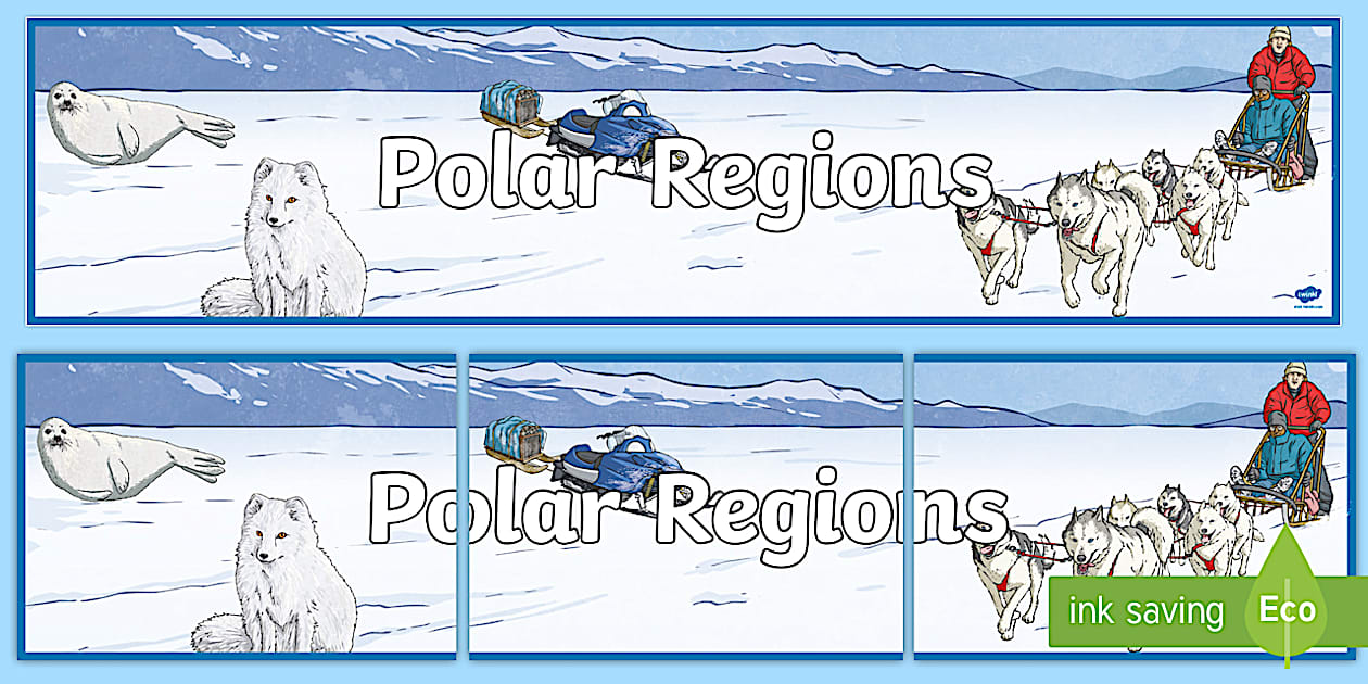 Polar Regions Display Banner (creat de profesori) - Twinkl