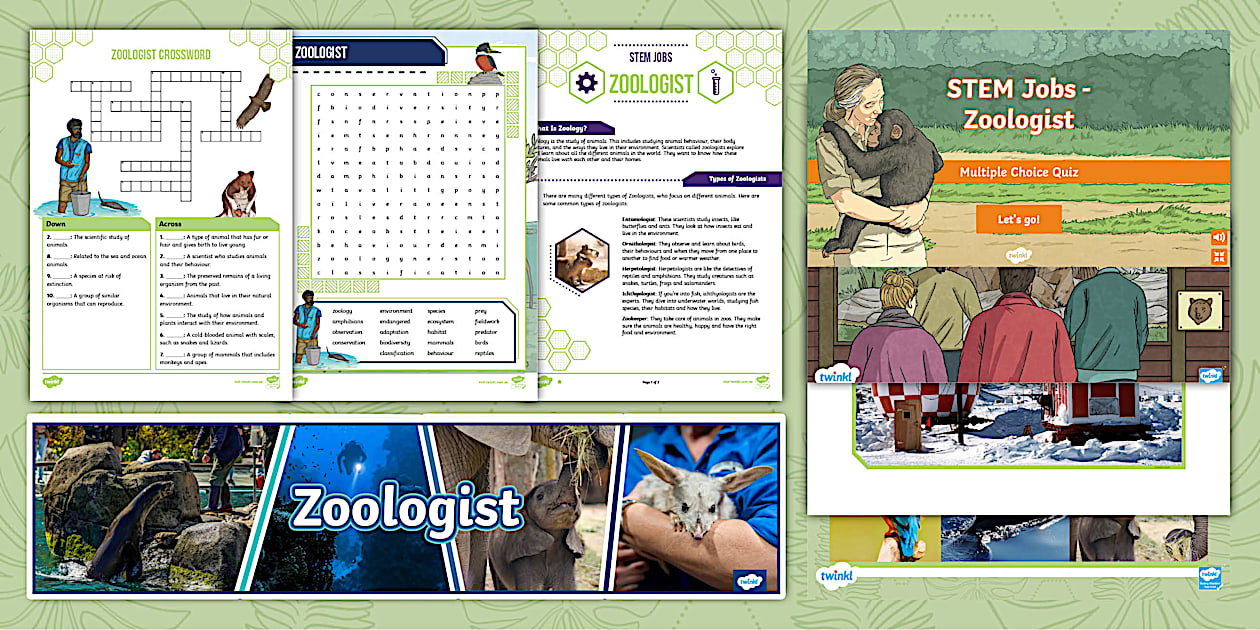 STEM Jobs: Zoologist Resource Pack (teacher made) - Twinkl