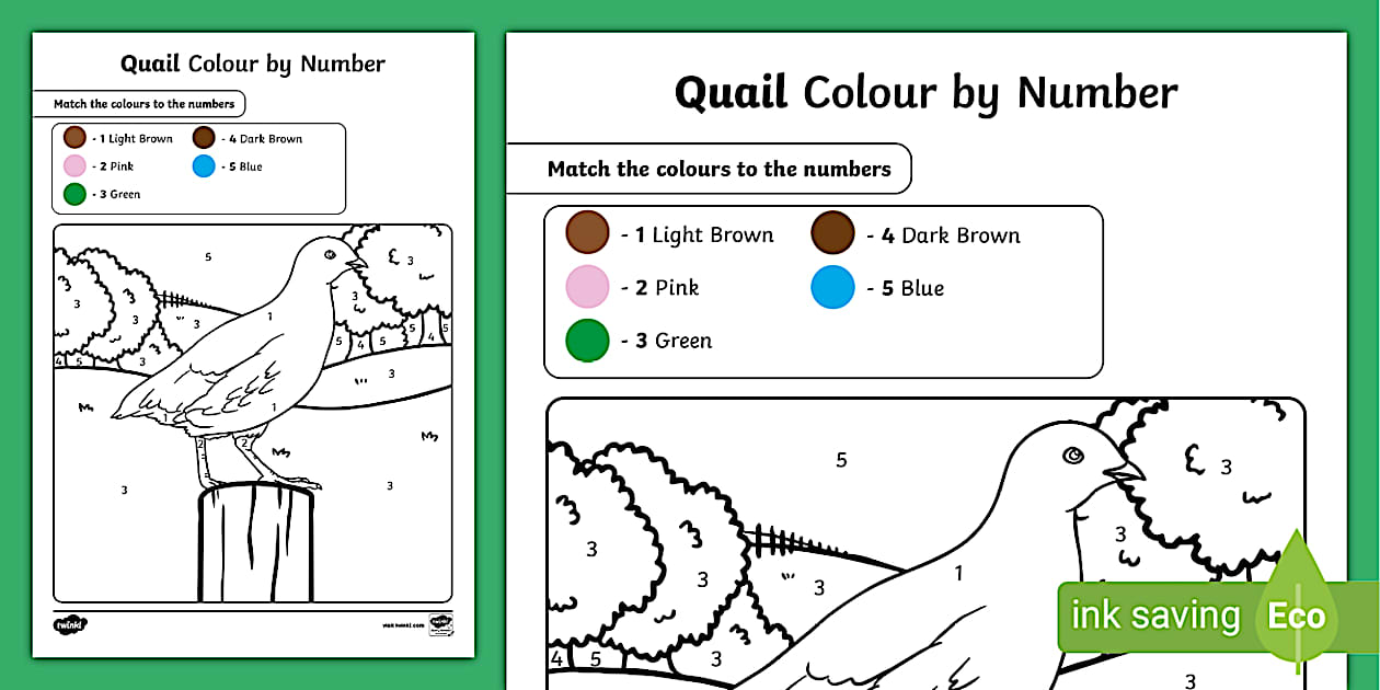 Quail Bird Colour-by-Number Activity | Twinkl | KS1 - Twinkl