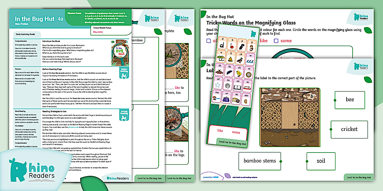 4a In the Bug Hut: Resource Pack - Twinkl Rhino Readers