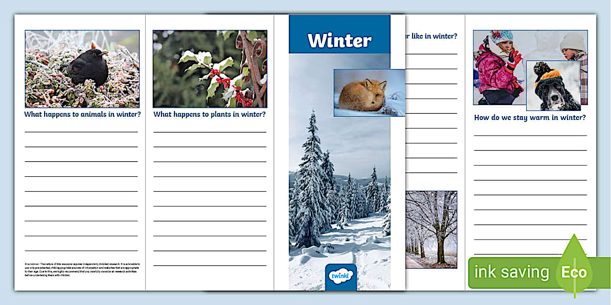 Winter Leaflet Template (Teacher-Made) - Twinkl