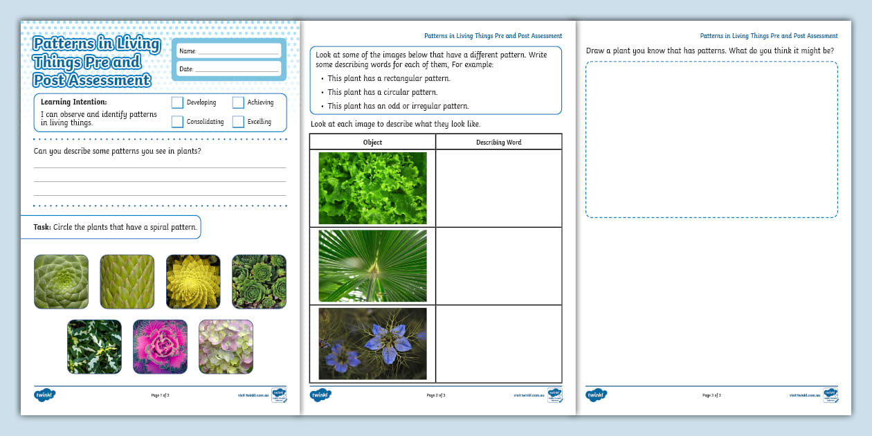 Patterns in Living Things Pre and Post-Assessment - Twinkl