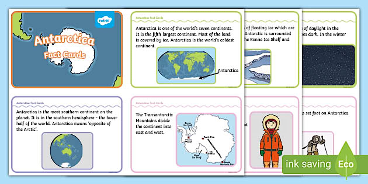 KS1 Antarctica Fact Cards (Teacher-Made) - Twinkl