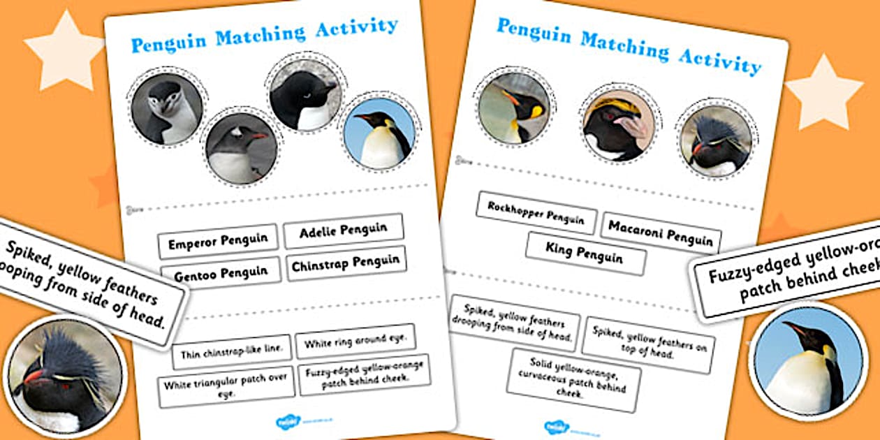 Black and White Penguin Matching Activity (teacher made)