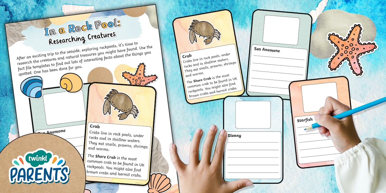 In a Rock Pool: Researching Creatures