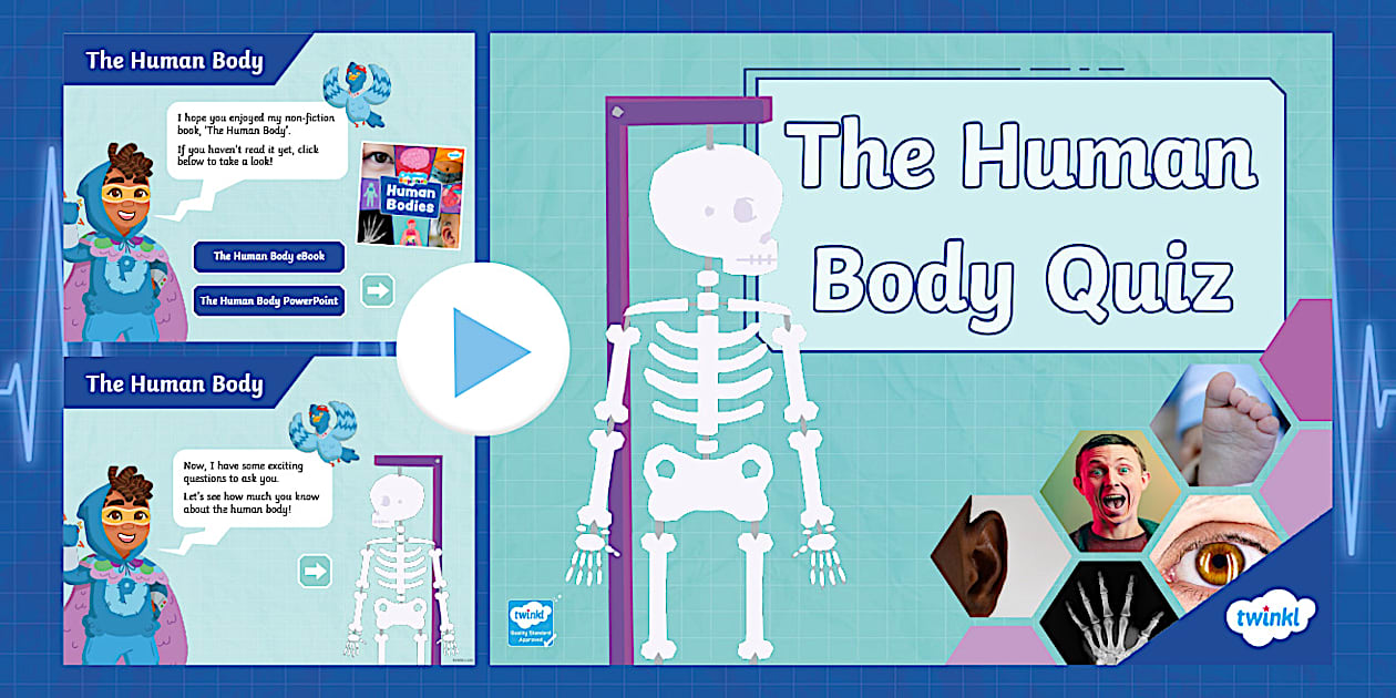 The Human Body System Quiz PowerPoint| Twinkl Body Resource
