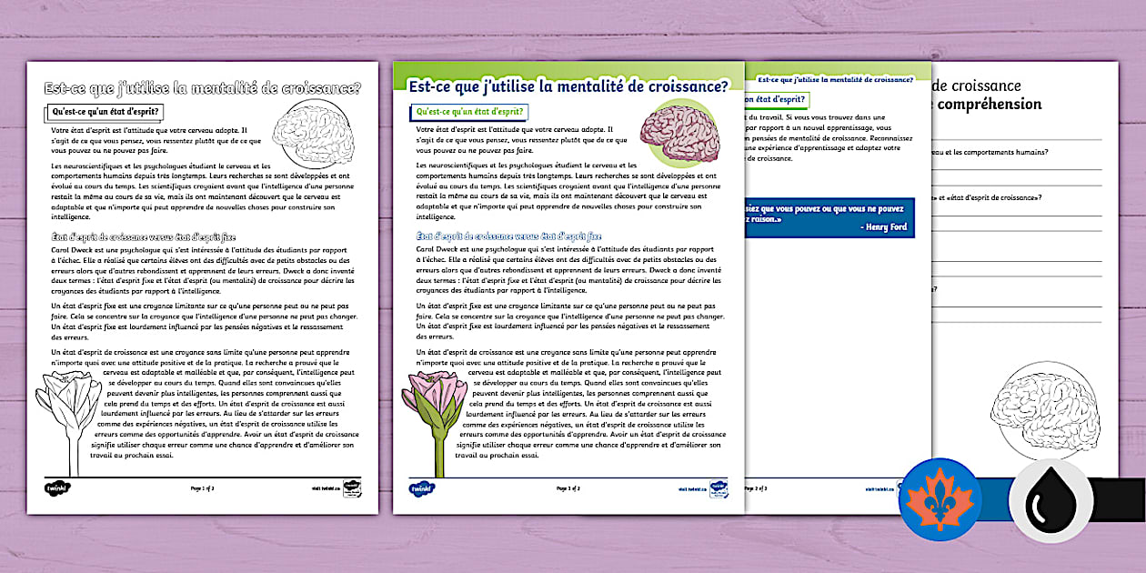 Growth Mindset Differentiated Reading Comprehension French