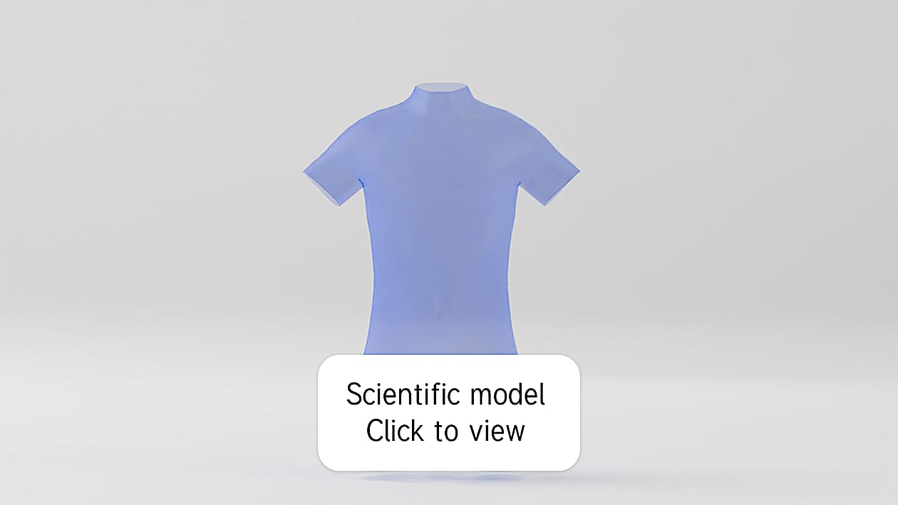 3D Model: Human Body - Male Reproductive System - Twinkl