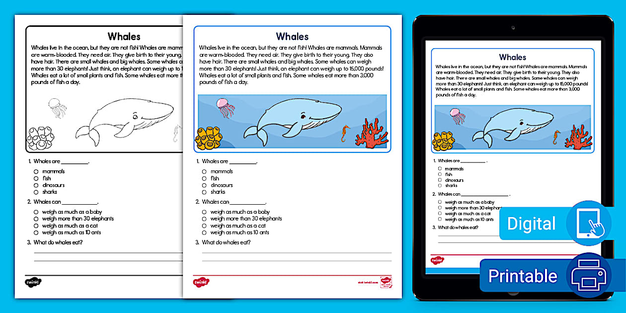 Whales Reading Comprehension Worksheet | Twinkl USA - Twinkl